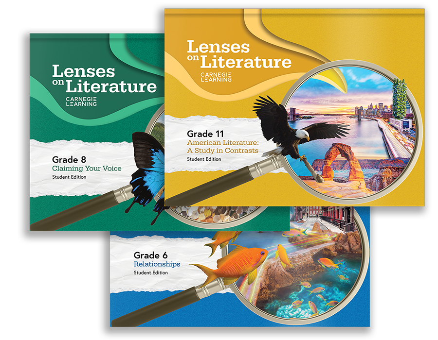 Lenses on Literature